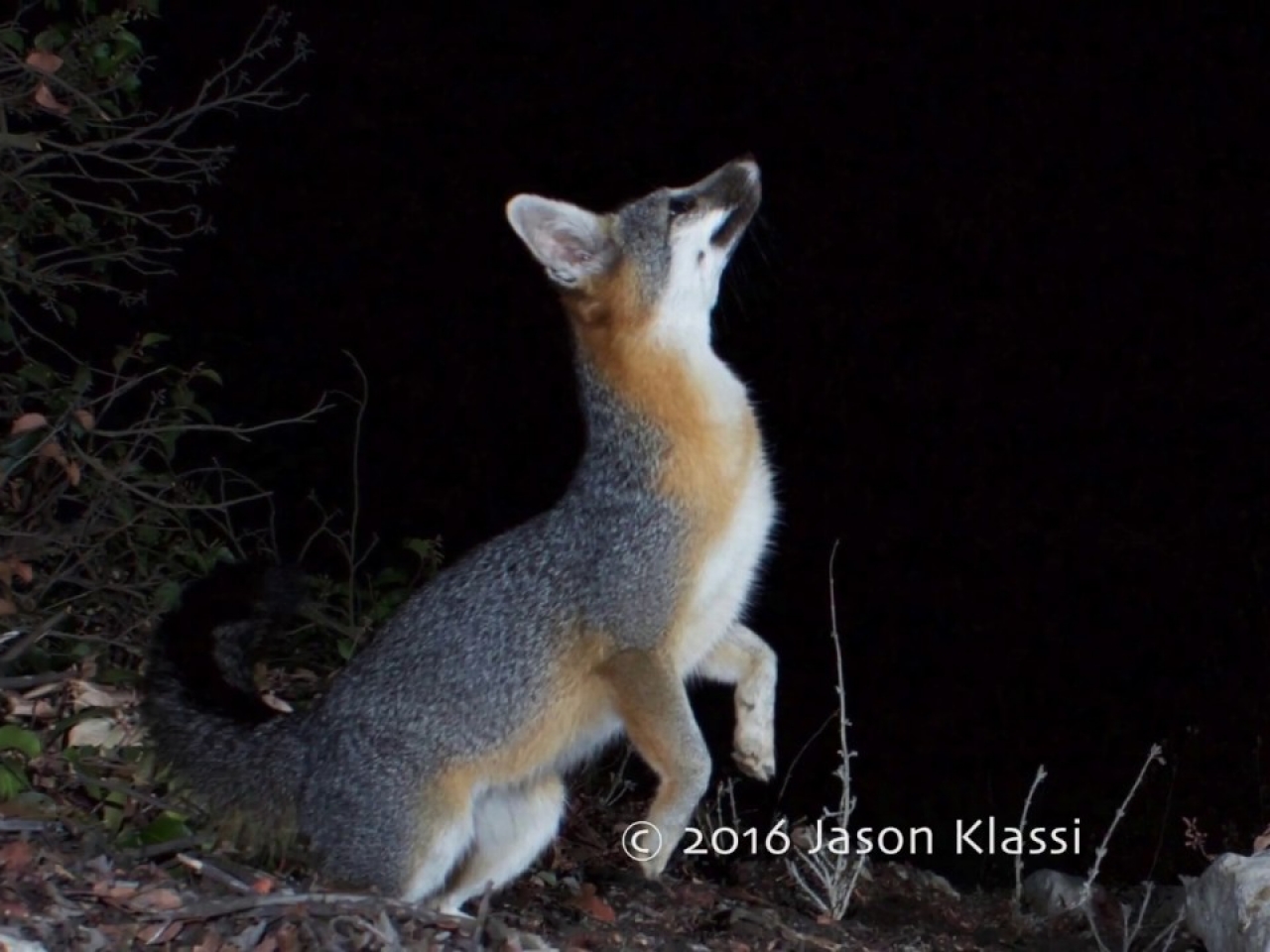 Video Gallery – ExpeditionEarth.org